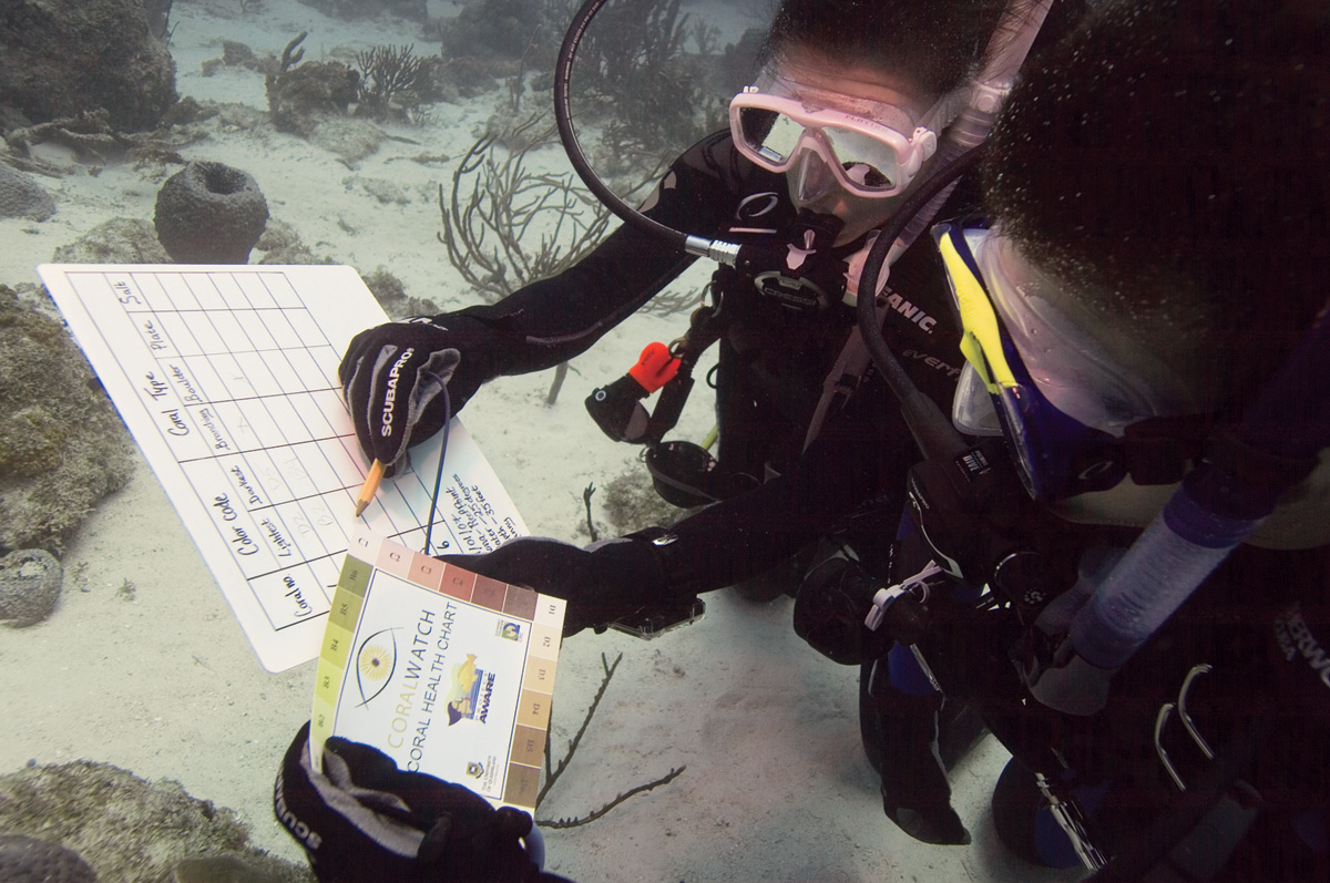Research & Conservation – Ancora Scuba